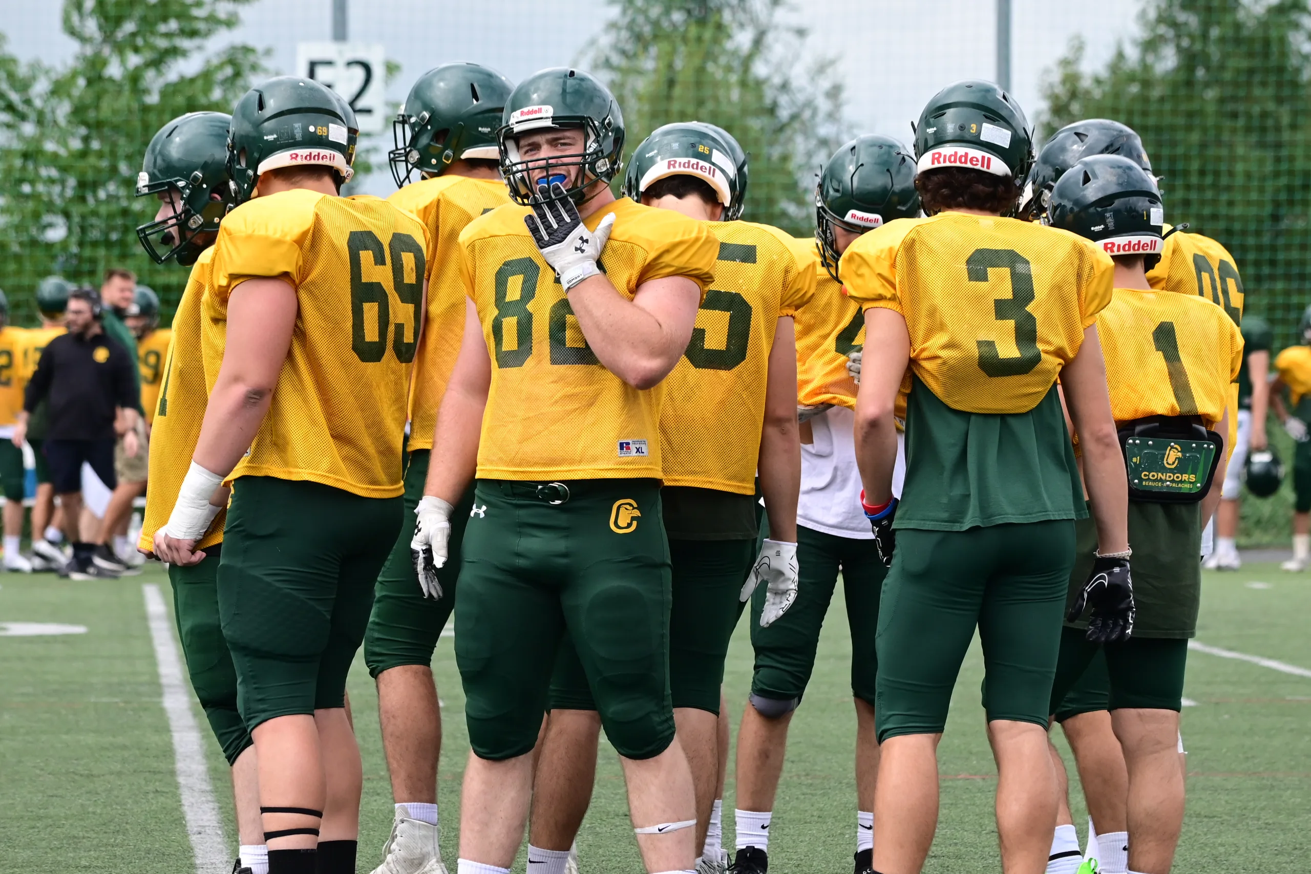 Une saison qui promet pour les Condors football - Le Cégep Beauce ...